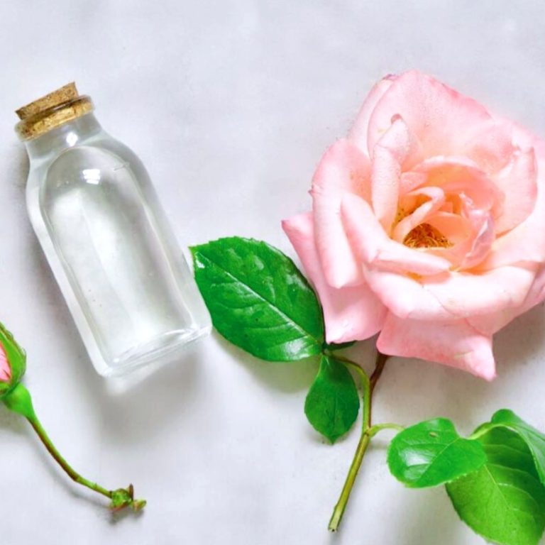 Rose Hydrosol – Skin Foodie